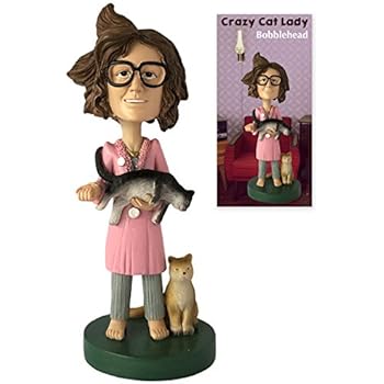 Amazon.com: Accoutrements Crazy Cat Lady Action Figure: Accou 11377 ...