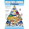 Amazon.com: My Food Pyramid Poster 18" x 24" Laminated, USDA MyPyramid ...