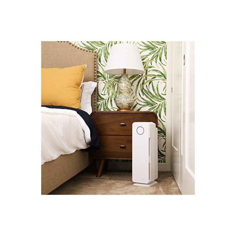 Air Purifier 4-in-1 Air Cleaning System: True HEPA Filter Purification ...