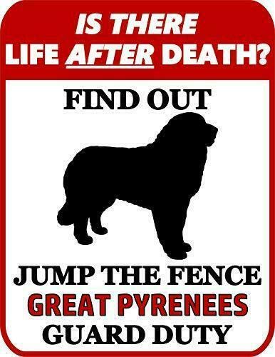 Do Great Pyrenees Jump Fences