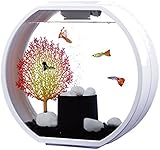 Fish R Fun Deco O Fish Tank White 20L: Amazon.co.uk: Pet Supplies