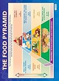 Amazon.com: My Food Pyramid Poster 18" x 24" Laminated, USDA MyPyramid ...