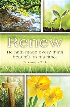 Amazon.com: General/Spring Worship Bulletin - "He hath made every thing ...