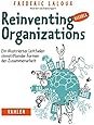 Reinventing Organizations: A Guide to Creating Organizations Inspired ...