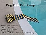 Skamper Ramp - Swimming Pool Pet Ramp