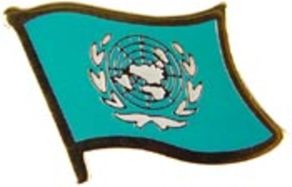 Amazon.com: United Nations Flag Pin 1": Clothing