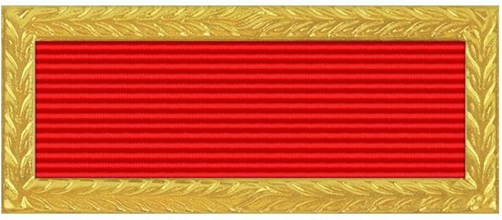 Amazon.com: US Army Meritorious Unit Citation: Clothing