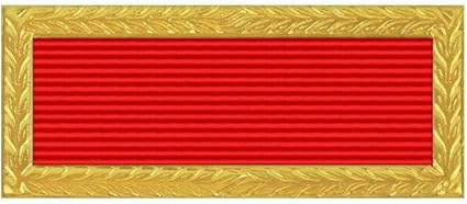 Amazon.com: US Army Meritorious Unit Citation: Clothing