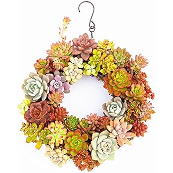 Amazon.com : 15" Wire Living Wreath Form : Garden & Outdoor