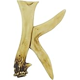 Amazon.com : Pine Ridge Personalized Name Art 6" Antler Letter "N" Home ...