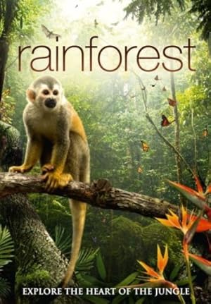 Watch Rainforest | Prime Video