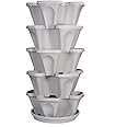 Amazon.com: Mr. Stacky© 5-Tier 13 inch Wide - (Stone Color) Strawberry ...