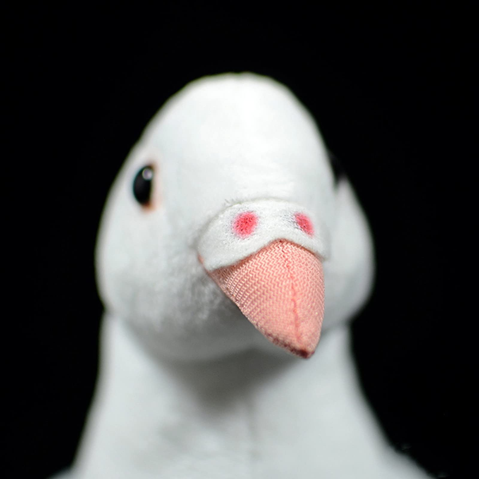 Lilizzhoumax White Dove Plush Toy, 8inch Super Soft Realistic White ...