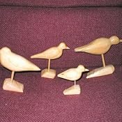 Carving Shorebirds: With Full-Size Templates: Harry V. Shourds, Anthony ...