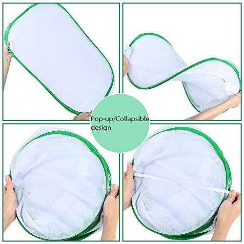 Pllieay 36 Inch Tall Large Butterfly Habitat Cage with an Instructions ...