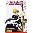 Amazon.com: Bleach, Vol. 1: 9781591164418: Tite Kubo: Books