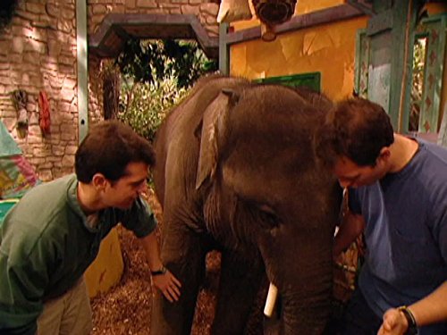 Watch Zoboomafoo - Season 1 | Prime Video