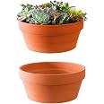 Amazon.com : POTEY Terracotta Shallow Planters for Succulent - 6.1 Inch ...