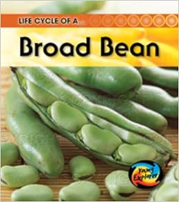Buy Life Cycle of a Broad Bean (Life Cycles) Book Online at Low Prices ...