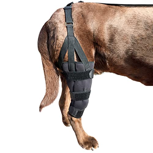 Labra Dog Canine Knee Stifle Brace Wrap, Metal Splint Hinged Flexible ...