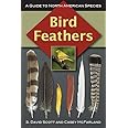Bird Feathers: A Guide to North American Species: Scott, S. David ...
