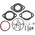 Amazon.com : Carburetor Overhaul Rebuild Repair Kit For Briggs Stratton ...