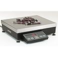 Amazon.com: Pennsylvania 7500-100 High Resolution Counting Scale (100 ...