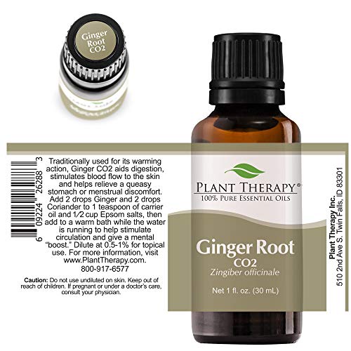 Ginger Root Oil at Nancy Guzman blog