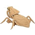 Amazon.com: FRANKIEZHOU Simulation Dead Leaf Praying Mantis Plush ...