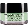 Amazon.com : NYX Cosmetics Concealer Jar, Green, 0.21-Ounce : Eye ...