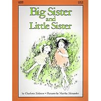 Little Big Sister: McCoy, Amy B.: 9780692651414: Amazon.com: Books