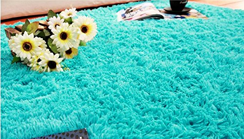 ACTCUT Super Soft Indoor Modern Shag Area Rugs Fluffy Anti-Skid Shaggy ...