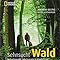 Bildband Sehnsucht Wald: Dieses National Geographic Buch betrachtet ...