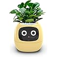 Amazon.com: TPHRAVAL Intelligent flower pot, electronic bud ...