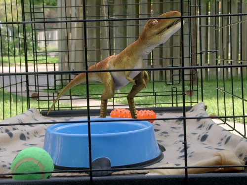 Watch Dino Dan Season 1 | Prime Video