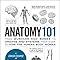Anatomy 101: From Muscles and Bones to Organs and Systems, Your Guide ...