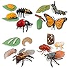 TOYMANY 16PCS Insect Figurines Life Cycle of Monarch Butterfly,Honey ...