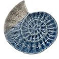 Amazon.com: The Bridge Collection 4" Conch Plate - Seashell Dish ...