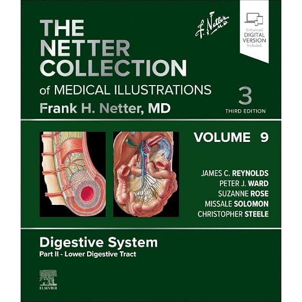 Netter Nervous System