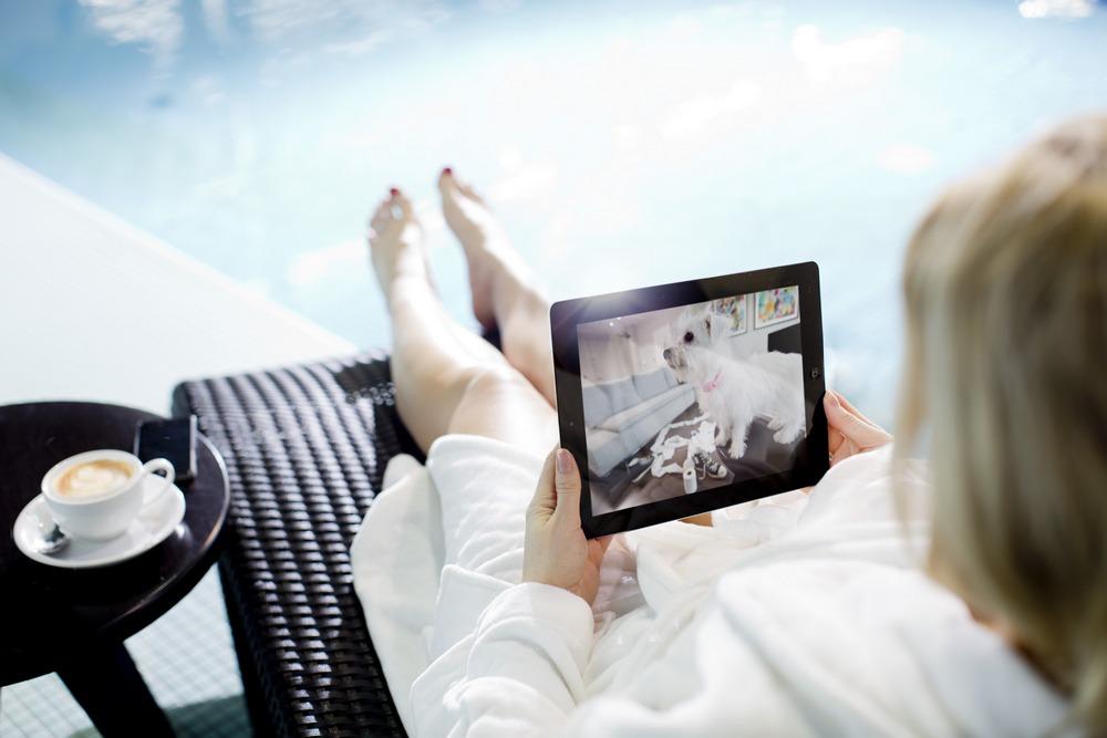 BT Smart Home Cam 100 IP Camera with Night Vision and Motion Detection ...