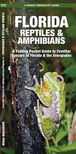 Florida Reptiles & Amphibians: A Folding Pocket Guide to Familiar ...