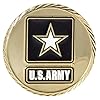 United States Army 173rd Airborne Division Sky Soldiers Challenge Coin ...