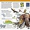 Knowledge Encyclopedia Animal!: The Animal Kingdom as you've Never Seen ...