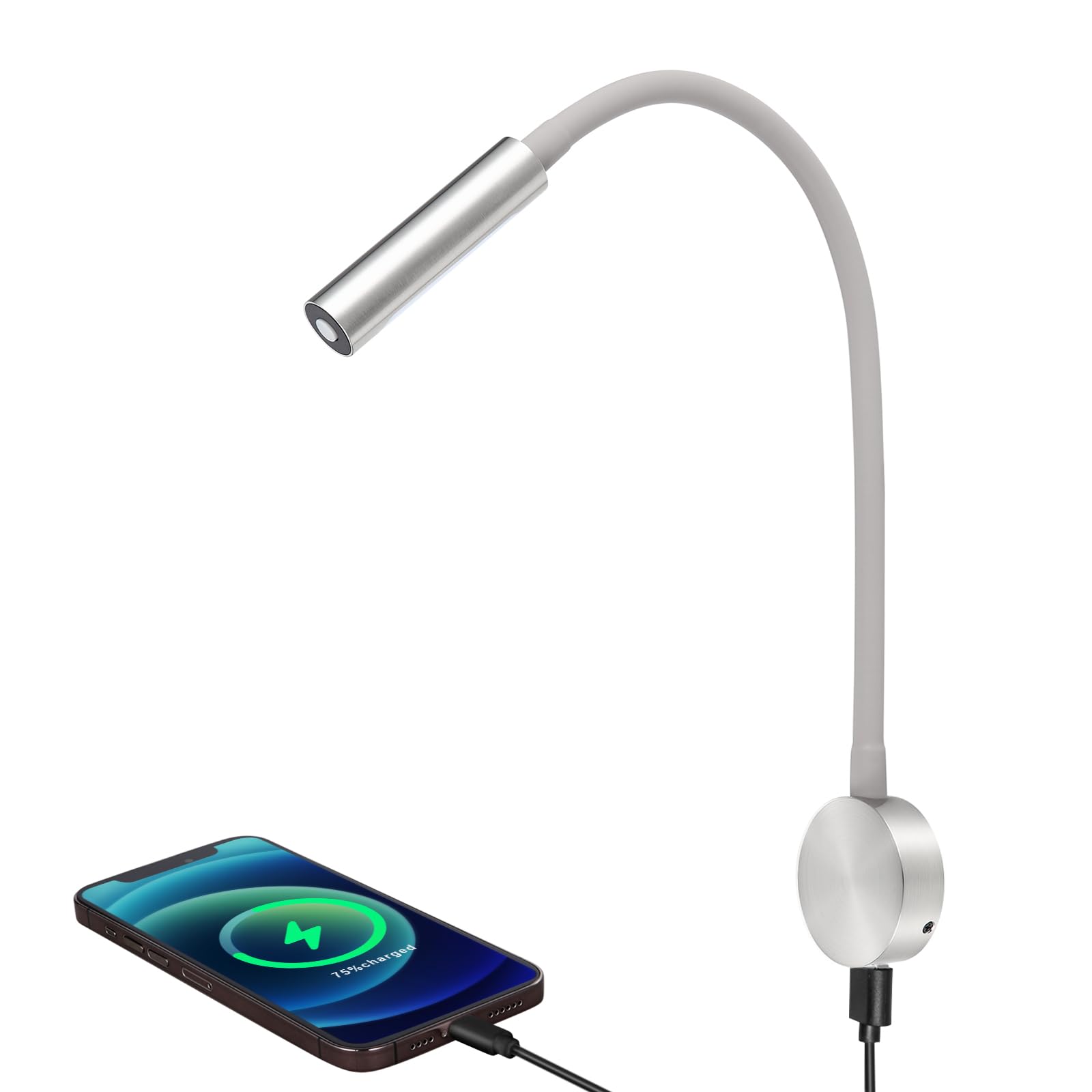 acegoo RV LED Reading Light 12V Flexible Gooseneck Wall Lamp for RV ...