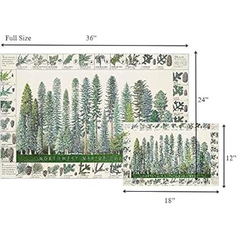 Amazon.com: Northwest Native Conifers Poster and Identification Chart ...