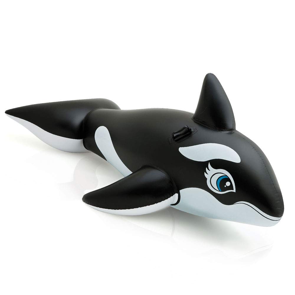 Amazon.com : 7 pc Orca Black Killer Whale Balloon Bouquet Party ...