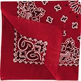 The Red Bandanna: A life, A Choice, A Legacy: Tom Rinaldi ...