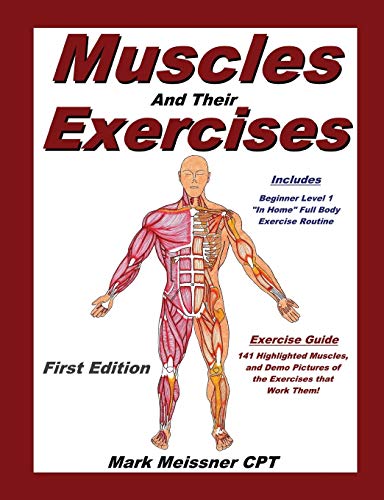 Muscles And Their Exercises: Meissner, Mark: 9780692470848: Amazon.com ...