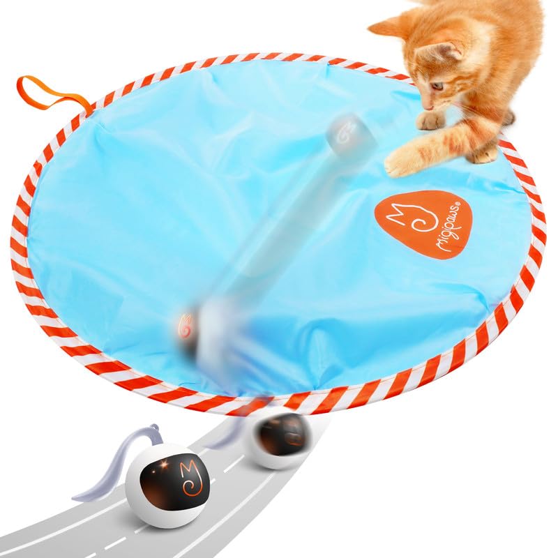 Migipaws Interactive Cat Ball Toy Set, Fun Tracker, Glowing Chase Ball ...