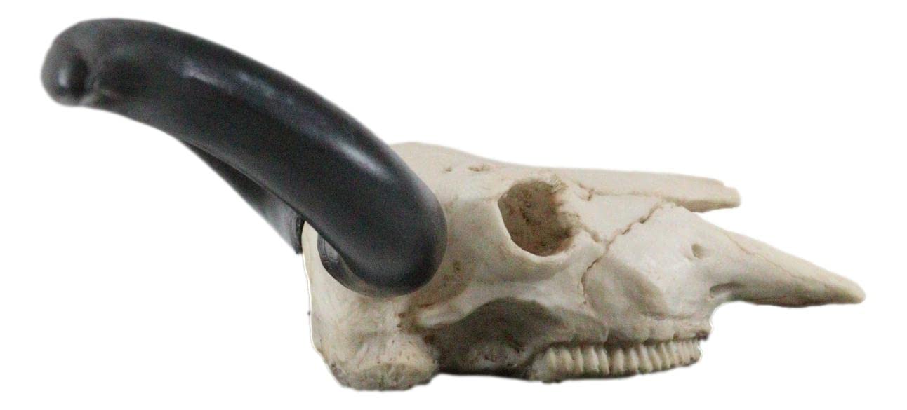 Mua Ebros Gift Texas Longhorn Steer Cattle Cow Skull Wall Mounted ...